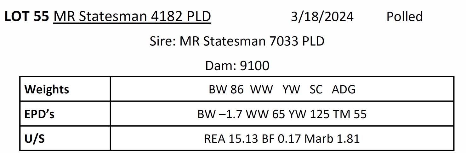 Lot 55: Roster Charolais - Annual Charolais Bull Sale | DVAuction