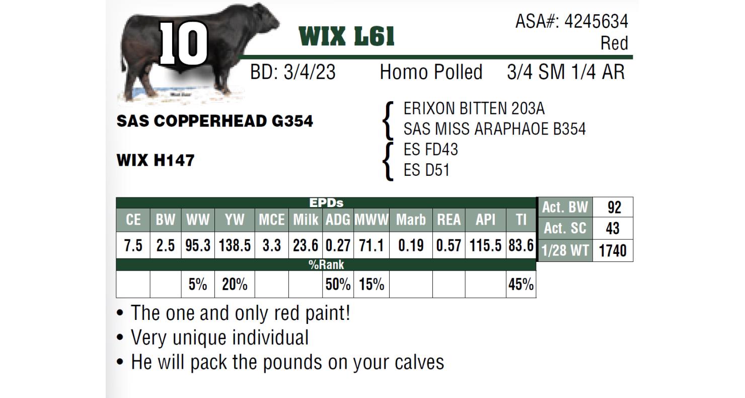 Lot 10: Wicks Cattle SimAngus and Simmental - Wicks Cattle Bull Sale ...