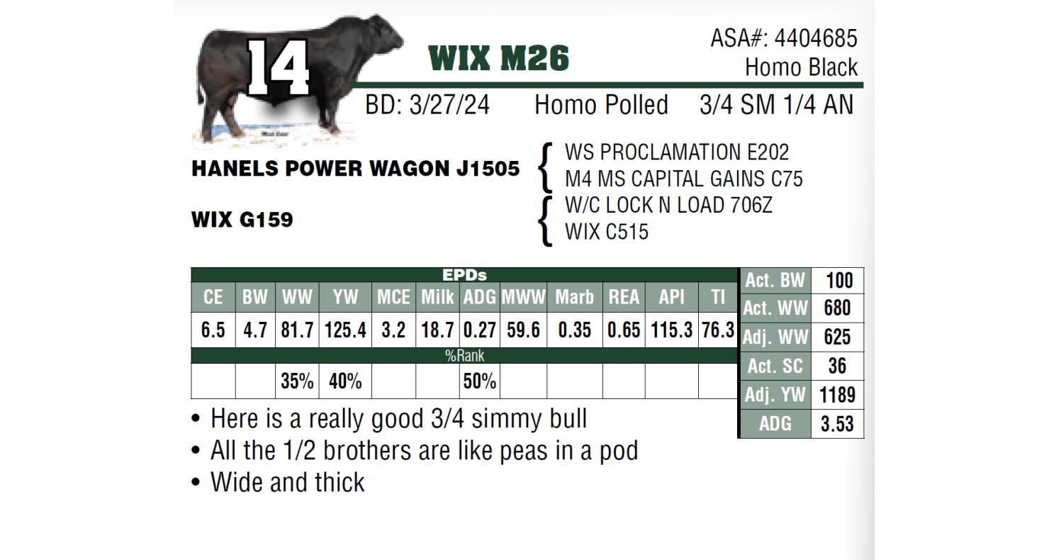 Lot 14: Wicks Cattle SimAngus and Simmental - Wicks Cattle Bull Sale ...