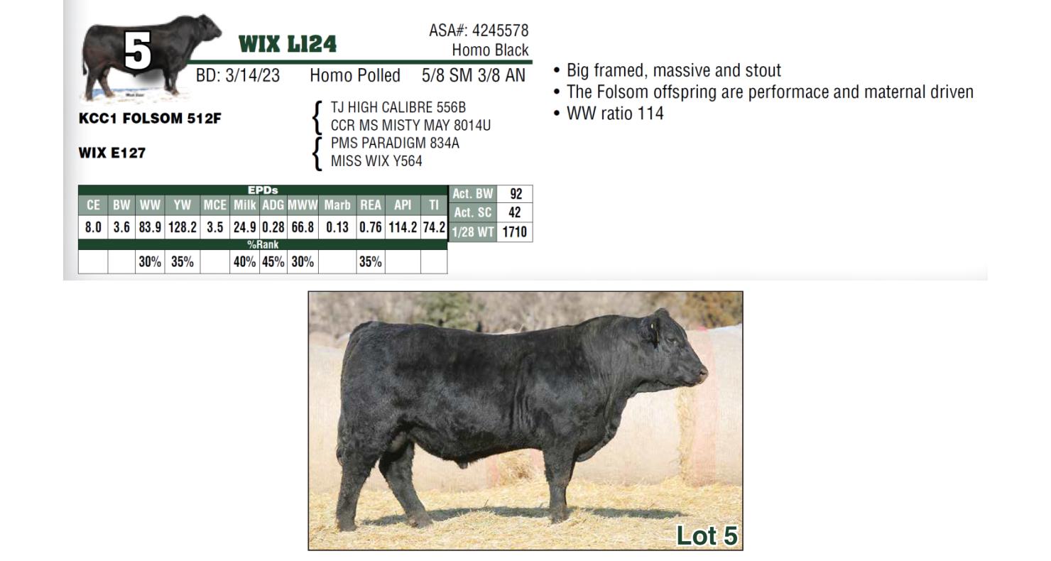 Lot 5: Wicks Cattle SimAngus and Simmental - Wicks Cattle Bull Sale ...
