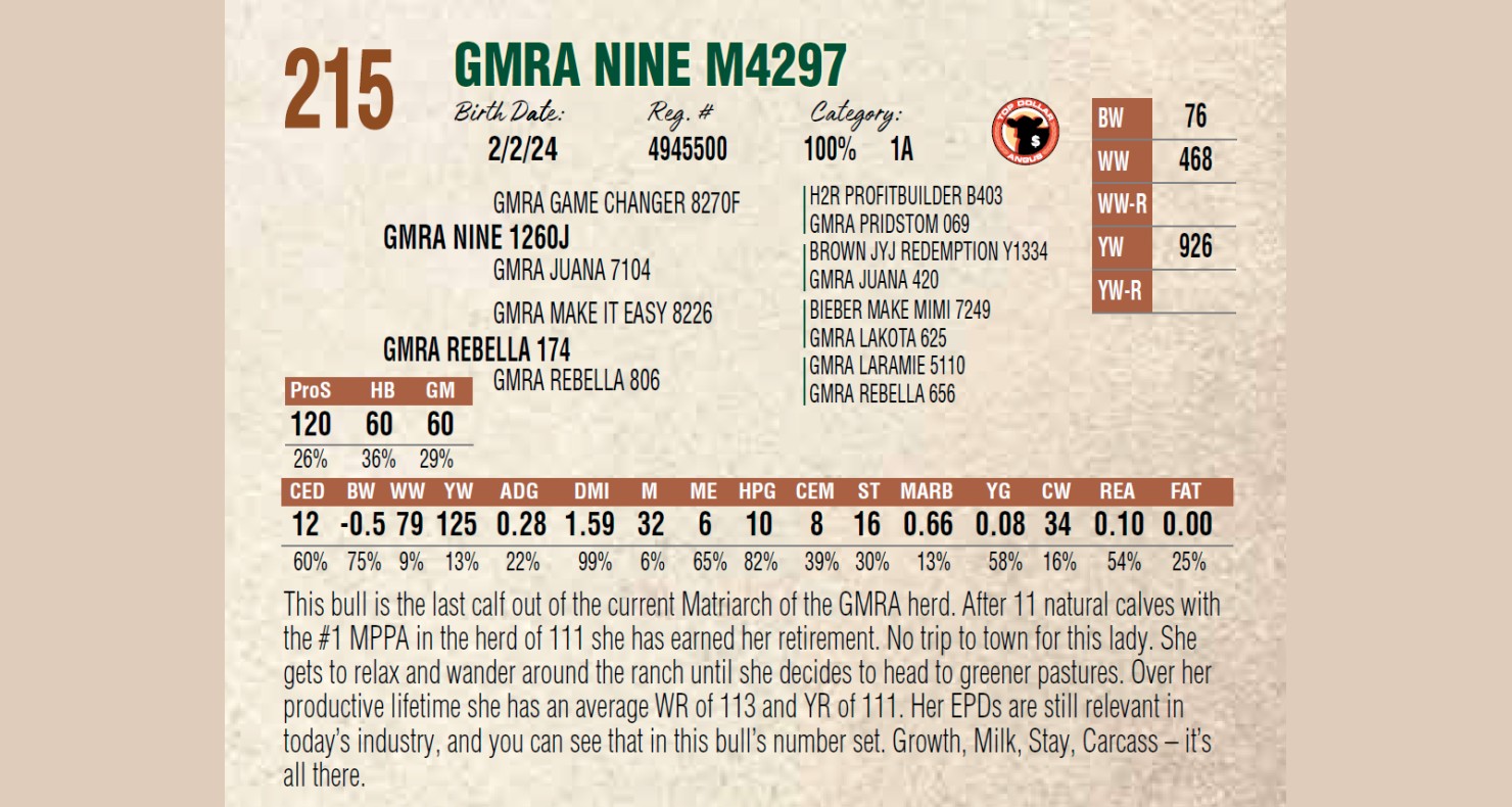 Lot 215 - GMRA NINE M4297: Green Mountain Red Angus - Spring-Time ...