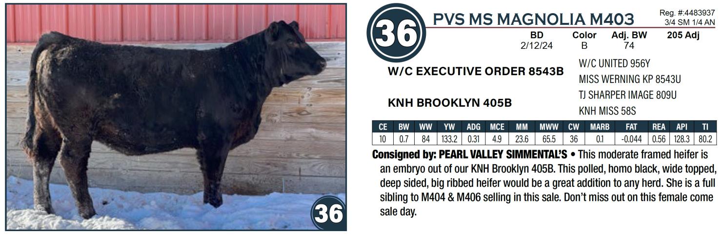 Lot 36: Northwest North Dakota Select Simmental Sale - Annual ...