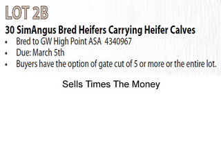 Lot 2b-5: T-Heart Ranch - High Altitude Female Sale | DVAuction