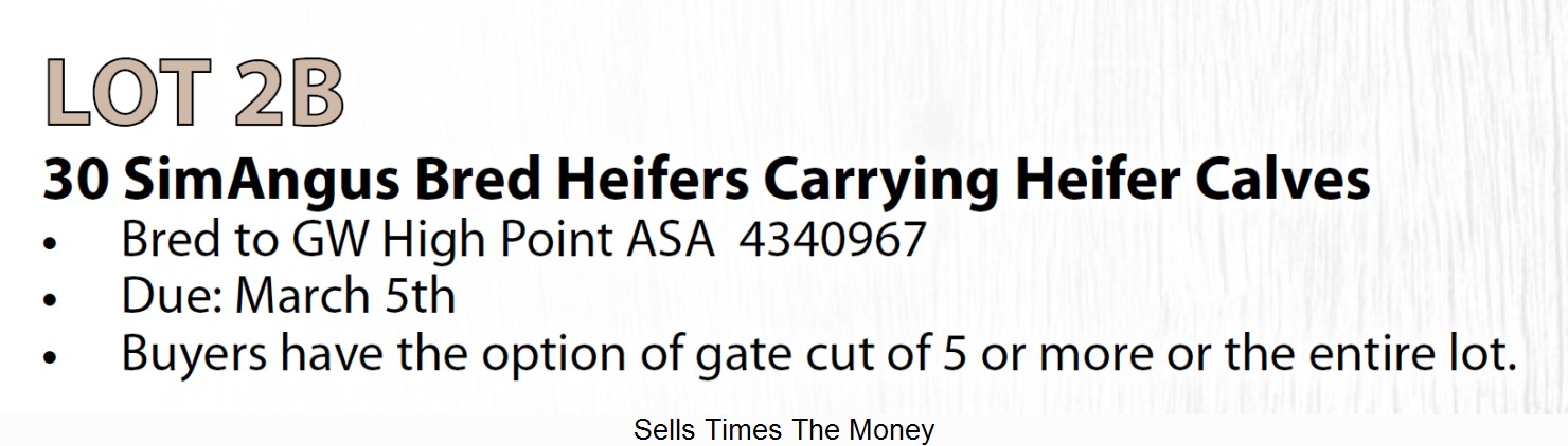 Lot 2b-5: T-Heart Ranch - High Altitude Female Sale | DVAuction