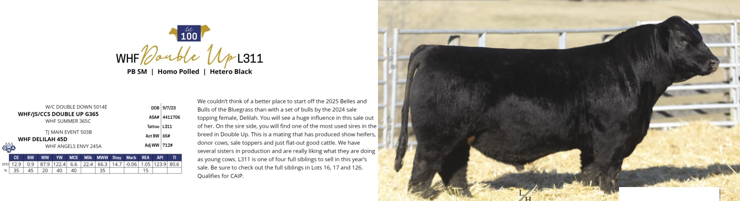 Lot 100: Belles and Bulls of the Bluegrass - 26th Annual Simmental and ...