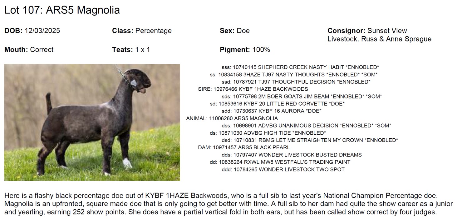 Lot 107: The Legendary Sale - Spring Boer Goat Sale | DVAuction
