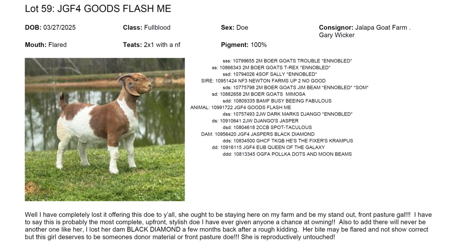 Lot 59: The Legendary Sale - Spring Boer Goat Sale | DVAuction