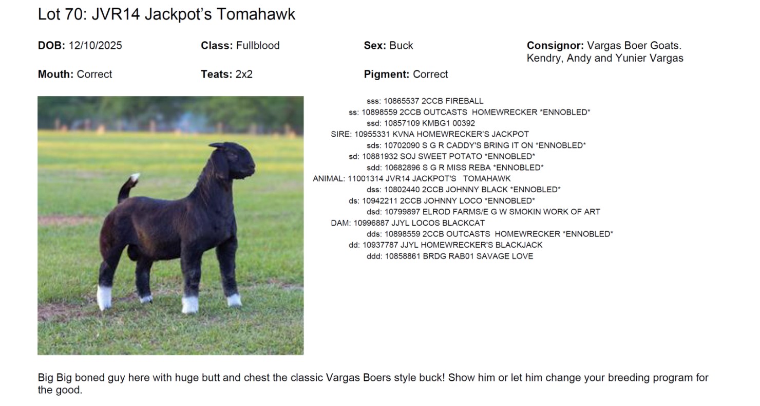 Lot 70: The Legendary Sale - Spring Boer Goat Sale | DVAuction