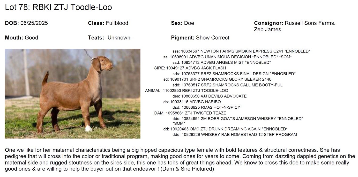 Lot 78: The Legendary Sale - Spring Boer Goat Sale | DVAuction