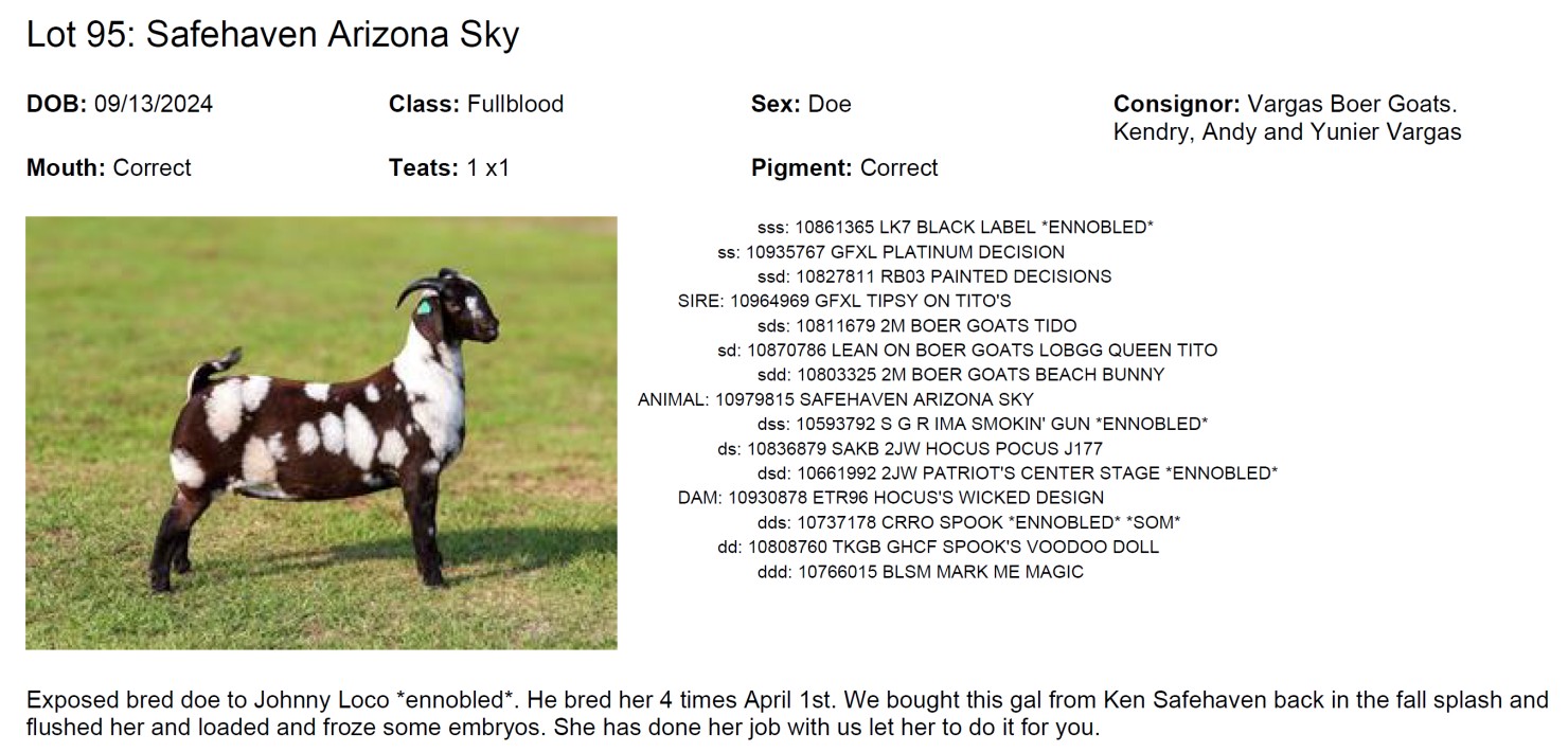 Lot 95: The Legendary Sale - Spring Boer Goat Sale | DVAuction