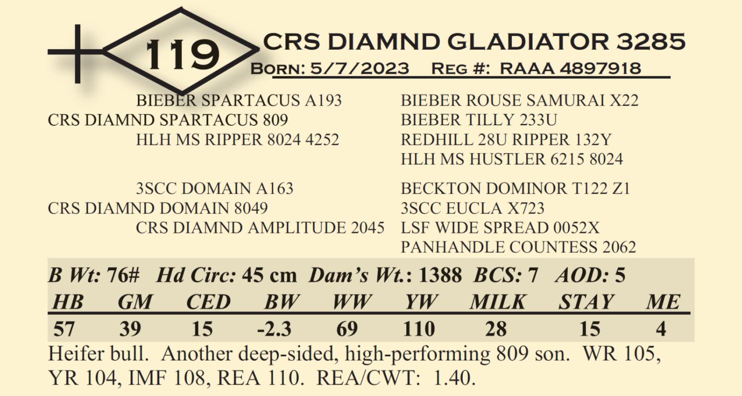 Lot 119: Cross Diamond Cattle Company - Annual Production Sale | DVAuction