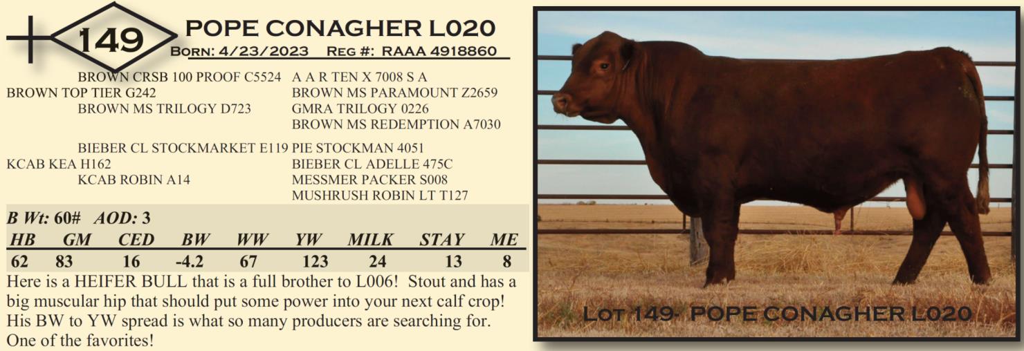 Lot 149: Cross Diamond Cattle Company - Annual Production Sale | DVAuction