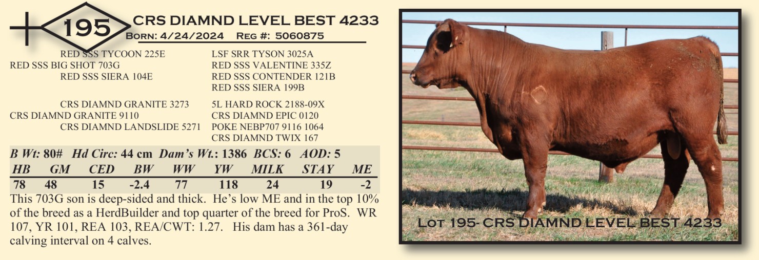 Lot 195: Cross Diamond Cattle Company - Annual Production Sale | DVAuction