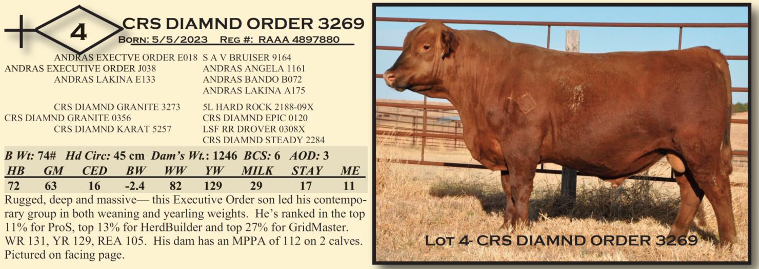 Lot 4: Cross Diamond Cattle Company - Annual Production Sale | DVAuction