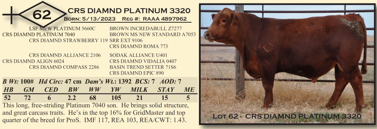 Lot 62: Cross Diamond Cattle Company - Annual Production Sale | DVAuction