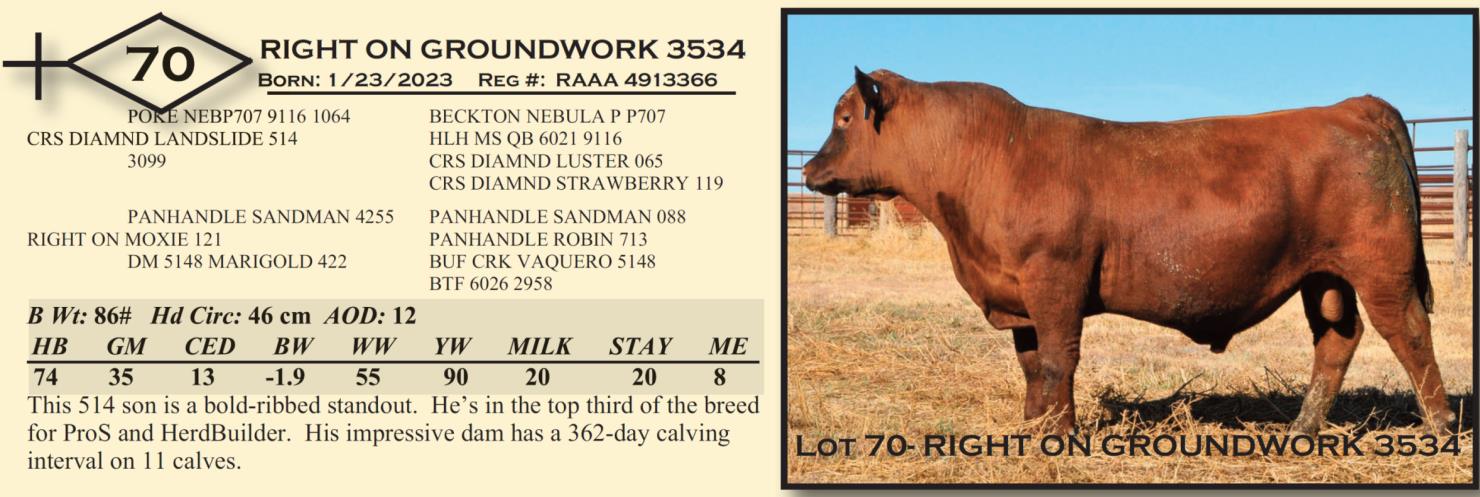 Lot 70: Cross Diamond Cattle Company - Annual Production Sale | DVAuction