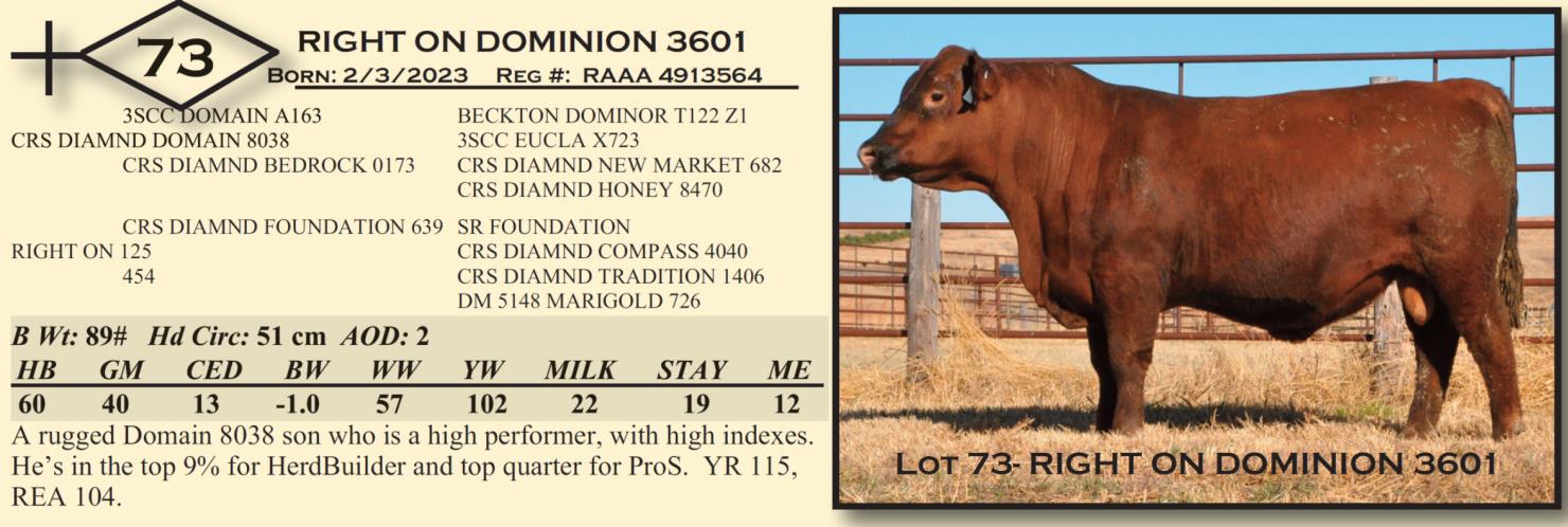 Lot 73: Cross Diamond Cattle Company - Annual Production Sale | DVAuction