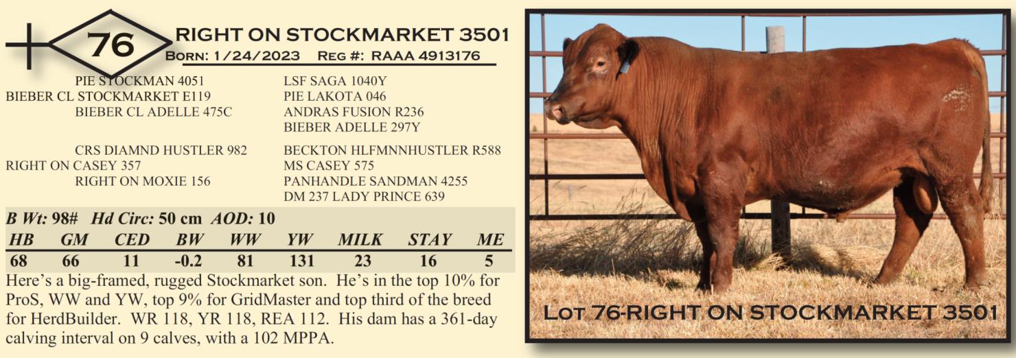 Lot 76: Cross Diamond Cattle Company - Annual Production Sale | DVAuction
