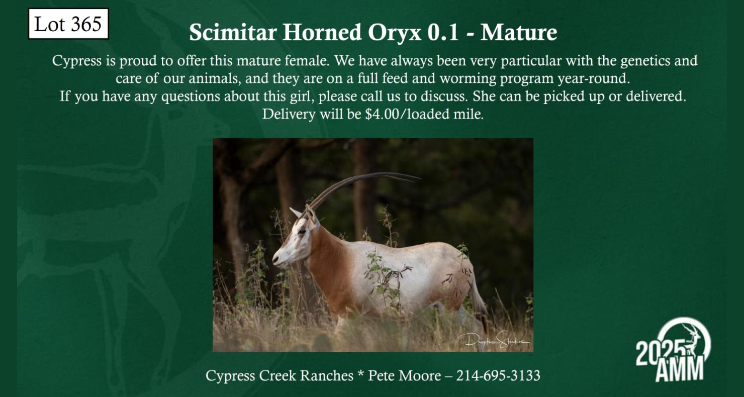 Lot 365: Exotic Wildlife Association - 23rd Annual Video Sale | DVAuction