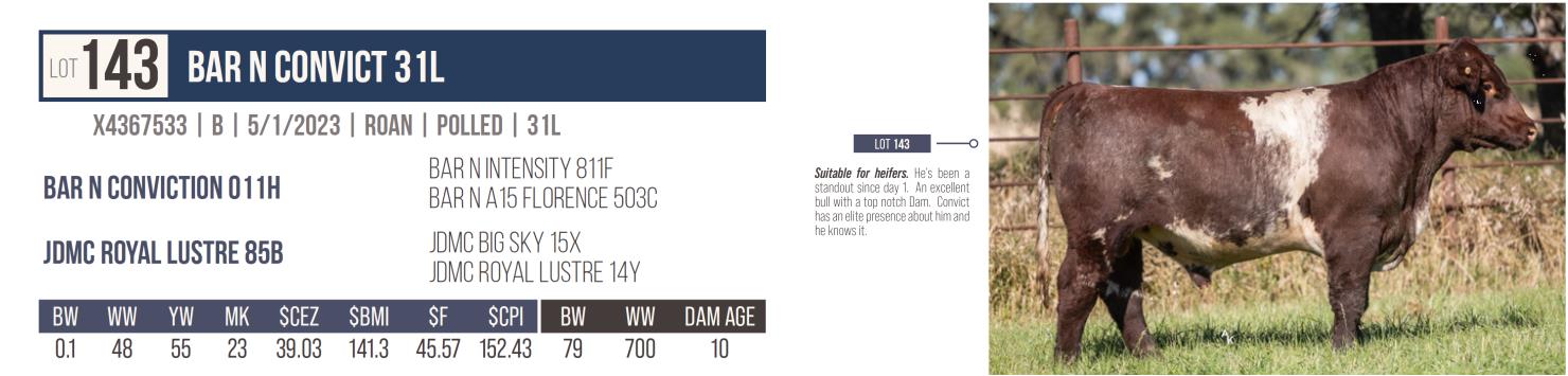 Lot 143: Durham Nation Sale - Annual Production Sale | DVAuction