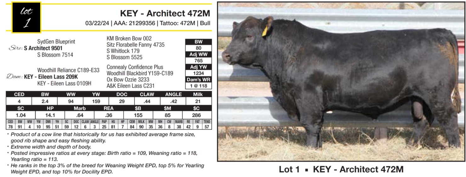 Lot 1: KEY Ranch - "Unlocking Higher Potential" Annual Production Sale ...
