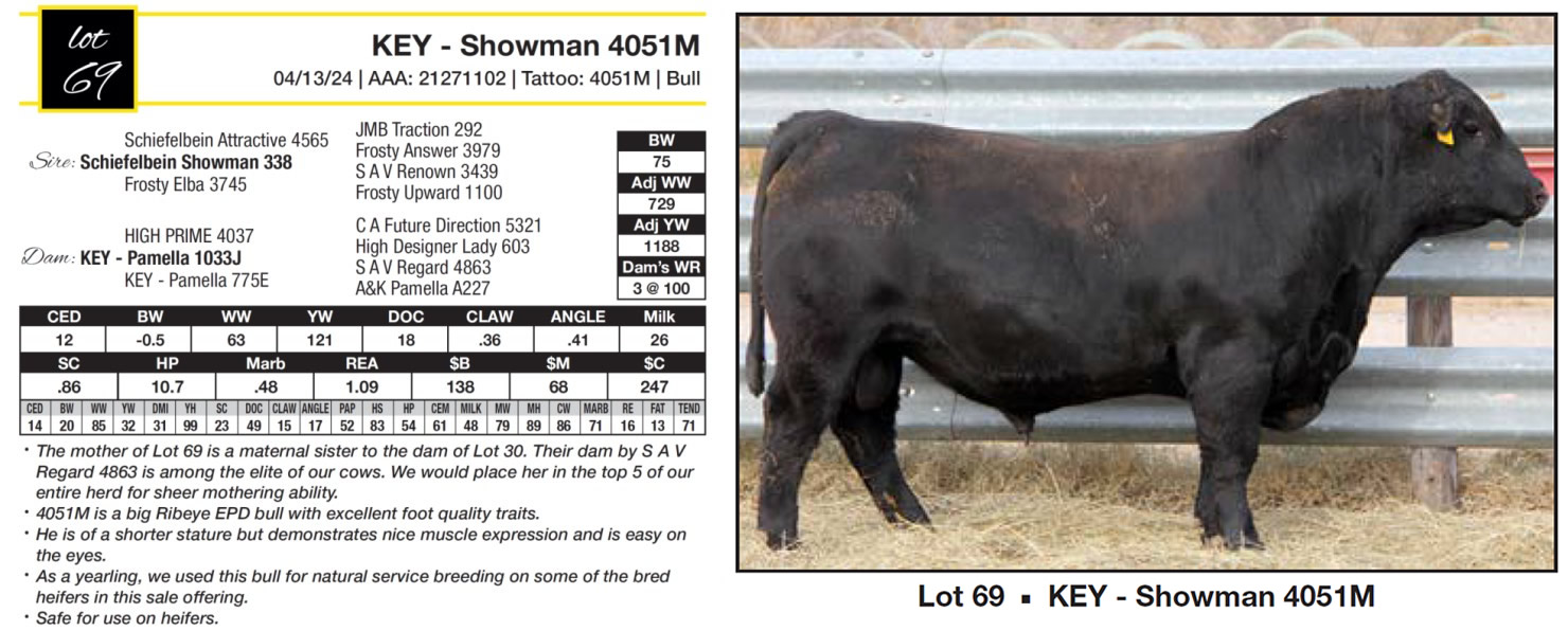Lot 69: KEY Ranch - "Unlocking Higher Potential" Annual Production Sale ...