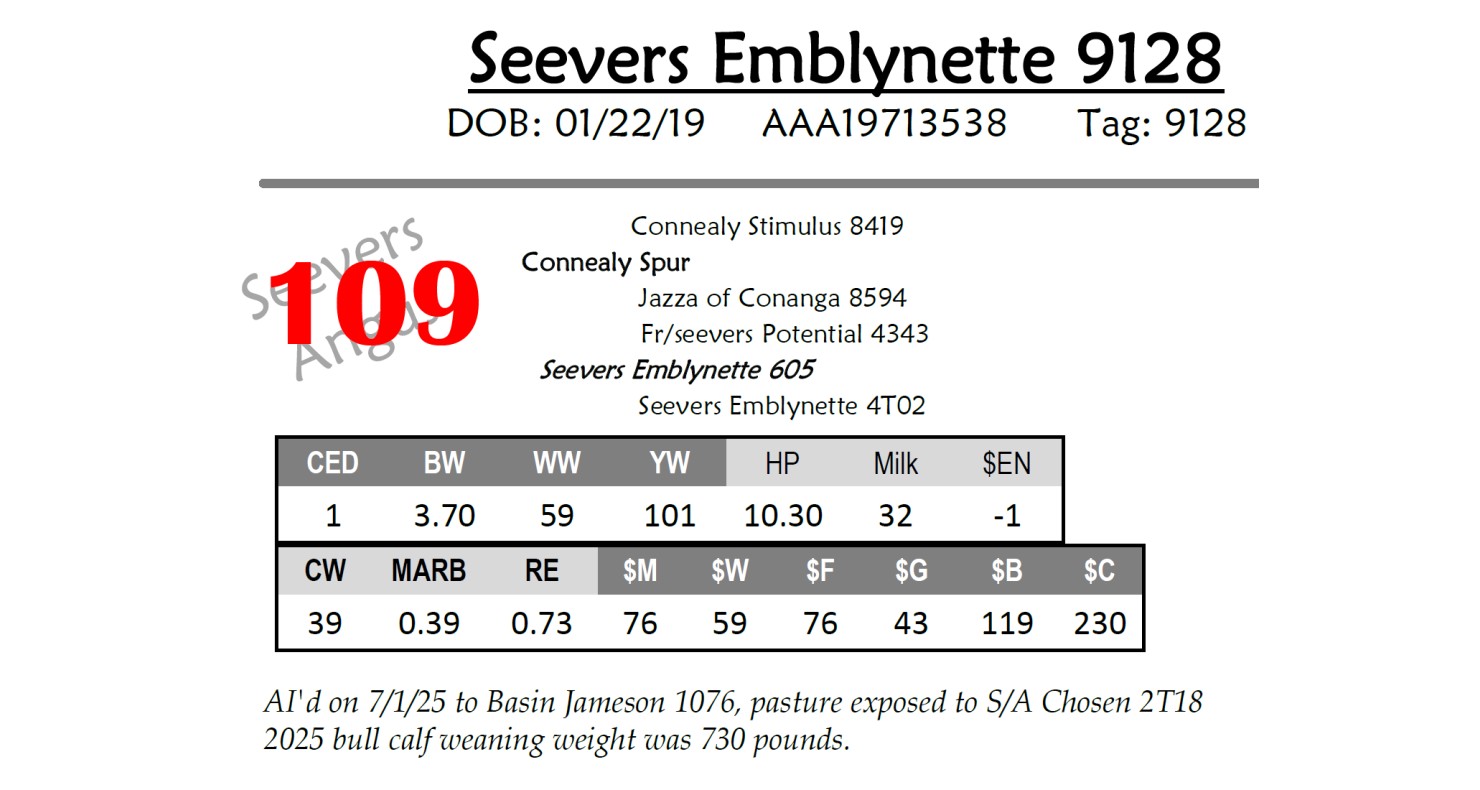 Lot 109: Seevers Angus - Complete Dispersion | DVAuction