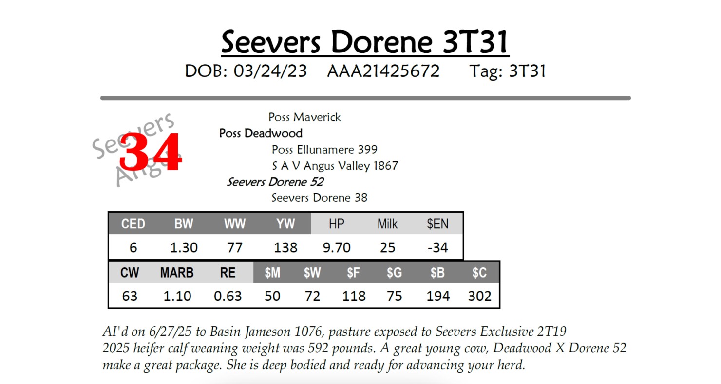 Lot 34: Seevers Angus - Complete Dispersion | DVAuction