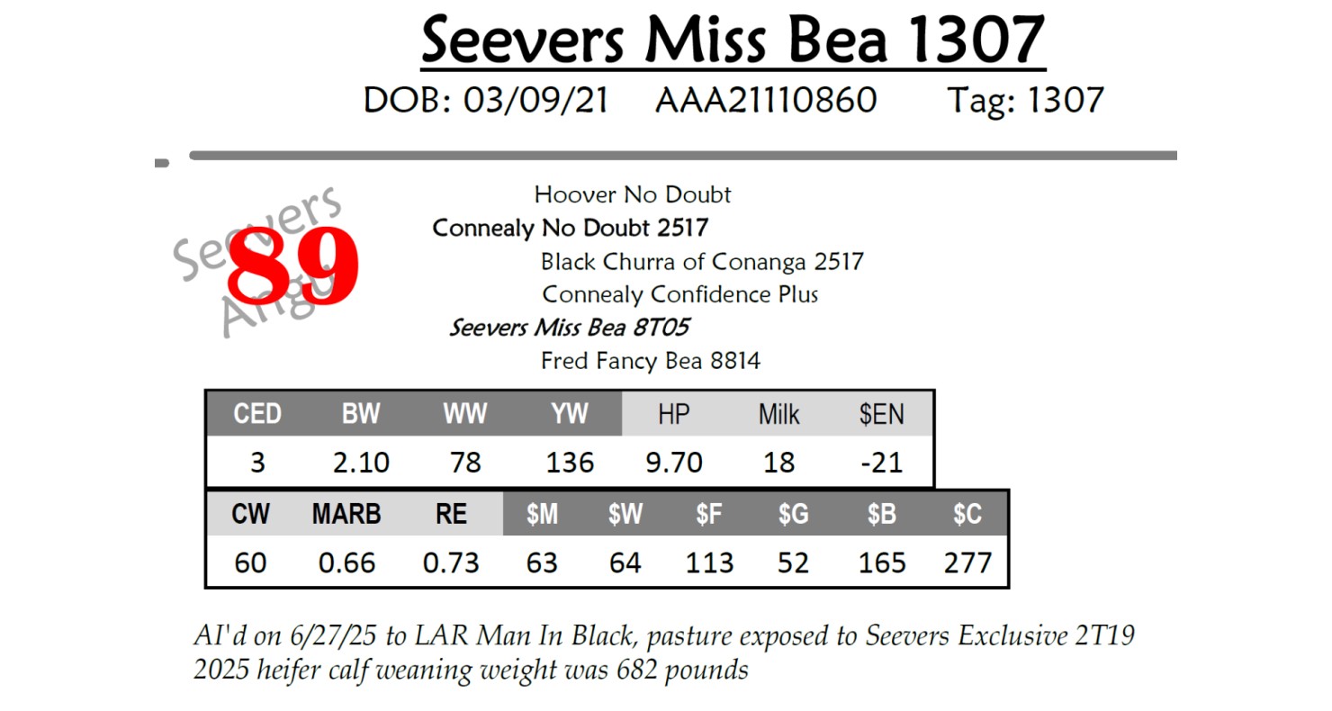 Lot 89: Seevers Angus - Complete Dispersion | DVAuction