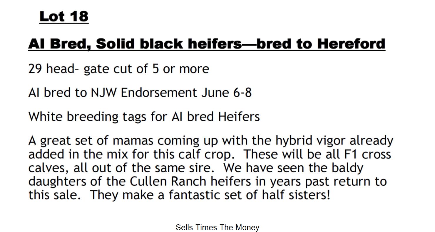 Lot 18: K2 Red Angus - Annual Fall Female Sale | DVAuction