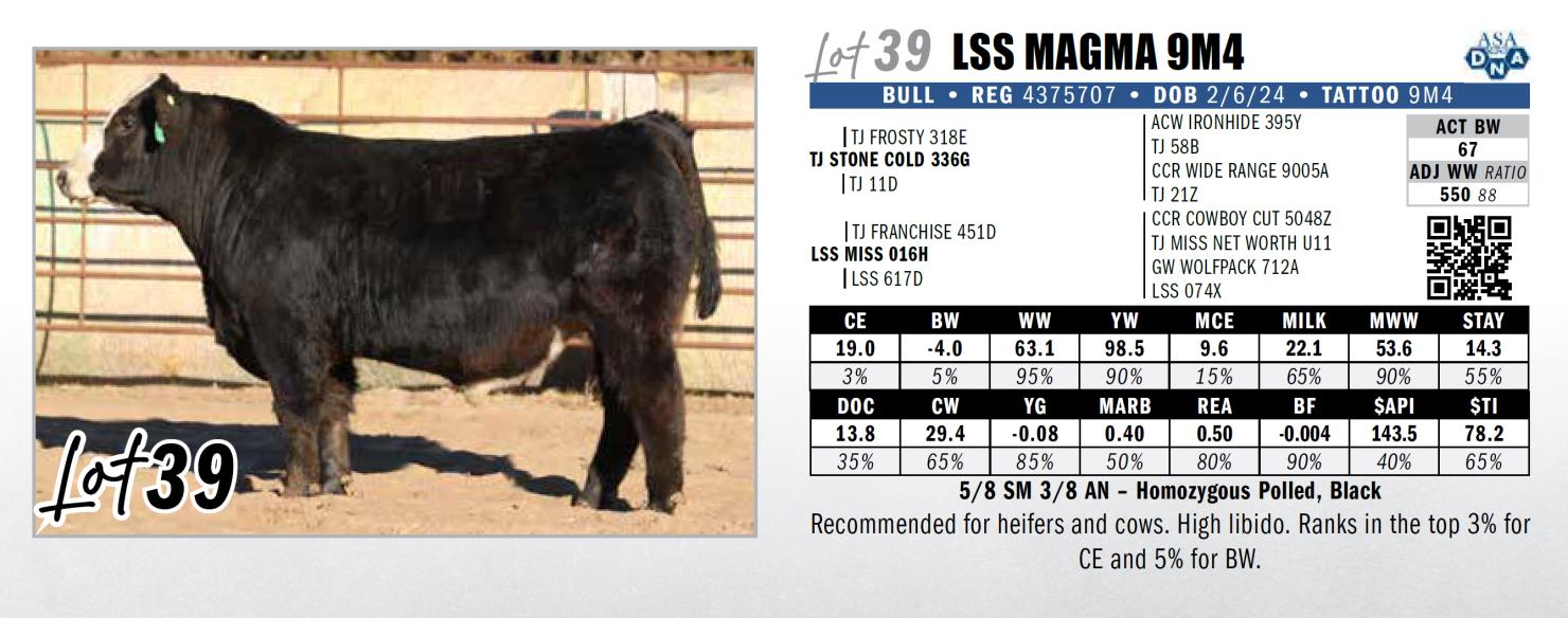 Lot 39: Mason Angus & SimAngus - Annual Bull Sale | DVAuction