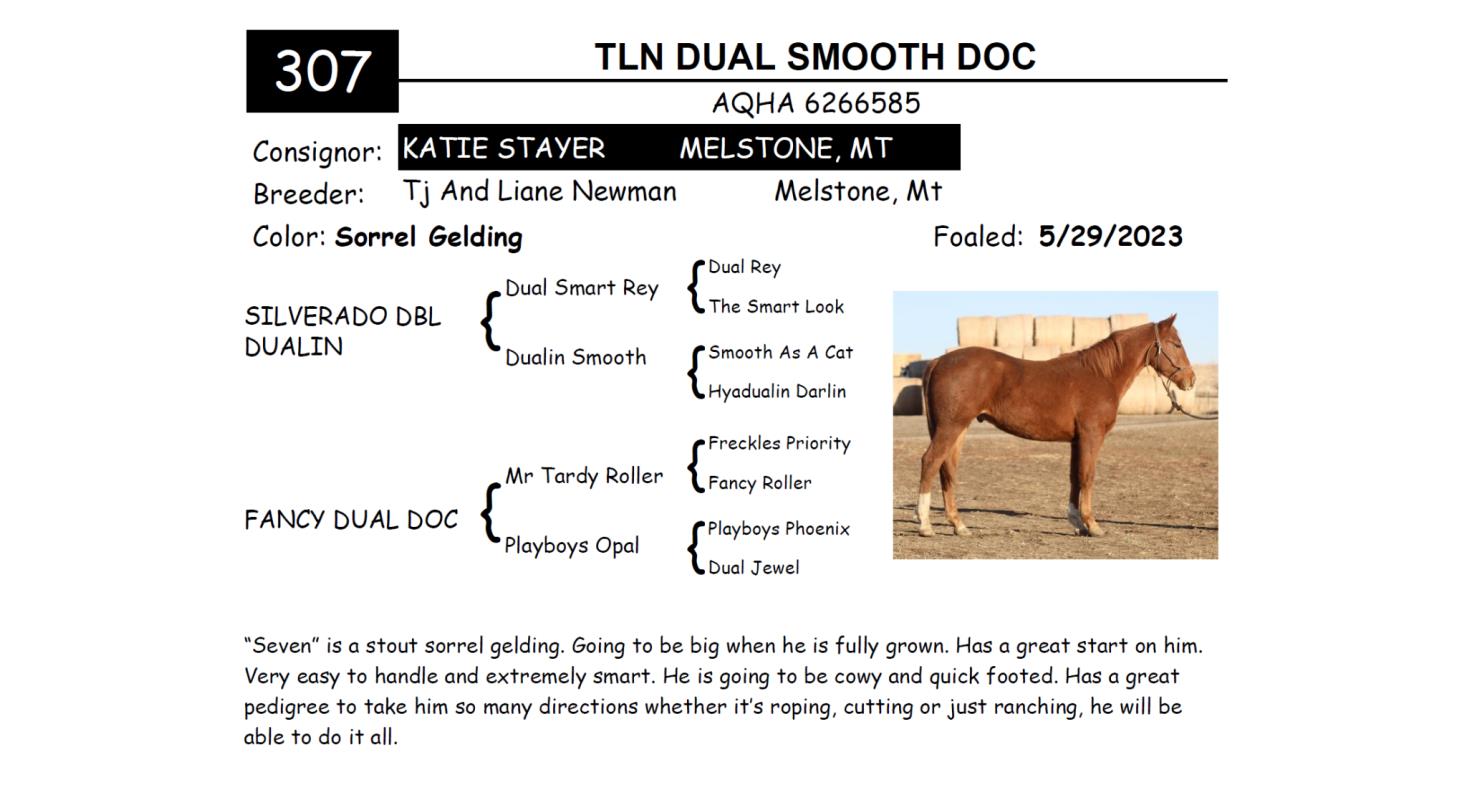 Lot 307: Red Bluff Bull & Gelding Sale - Annual Gelding Sale | DVAuction