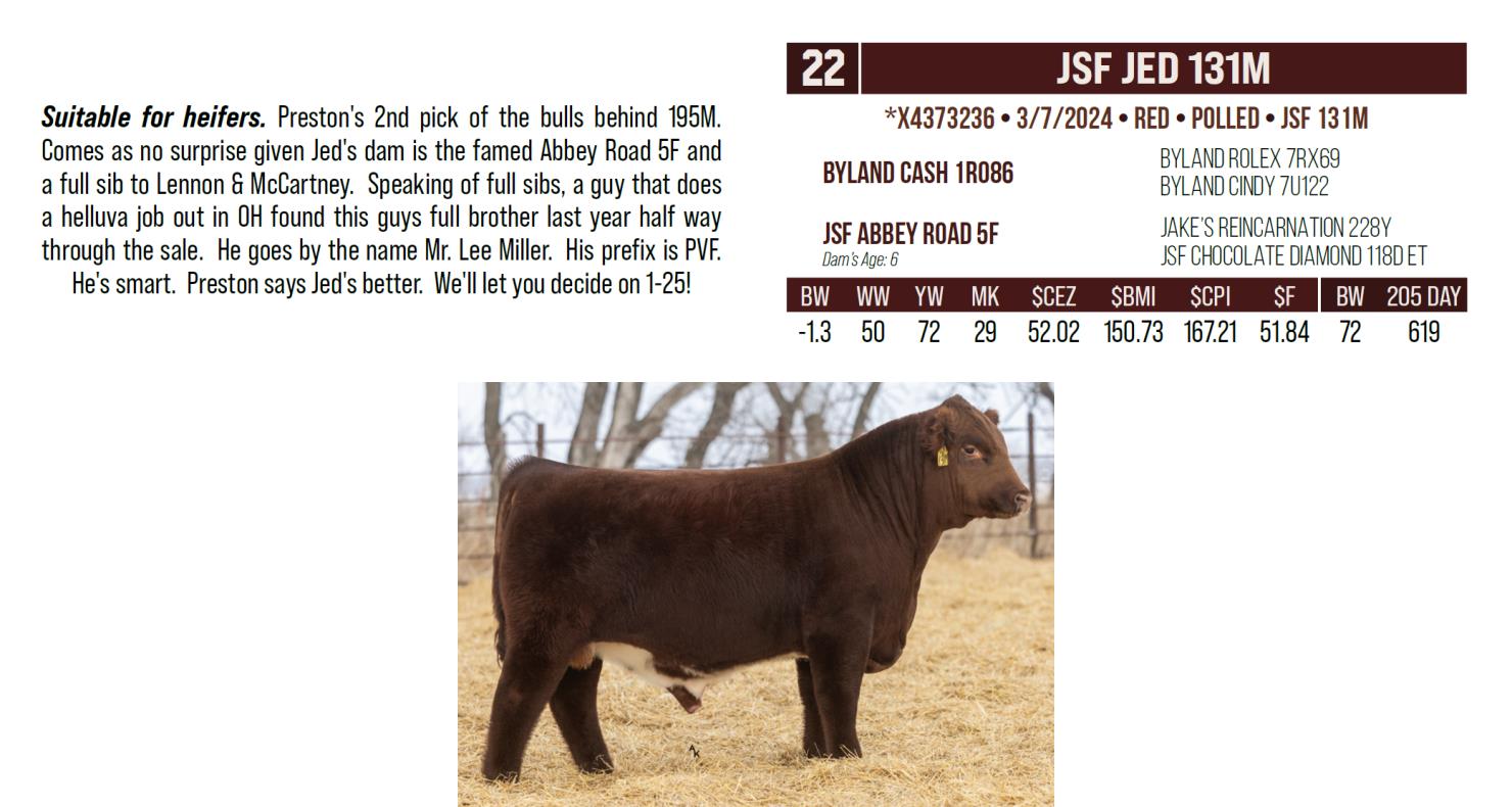 Lot 22: Jungels Shorthorn Farm - Durhams for the Dakotas | DVAuction