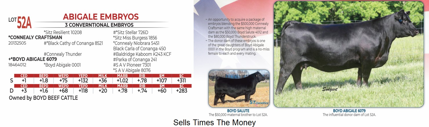 Lot 52a: Central Kentucky Angus Sale / Heritage Farms - Annual Spring ...
