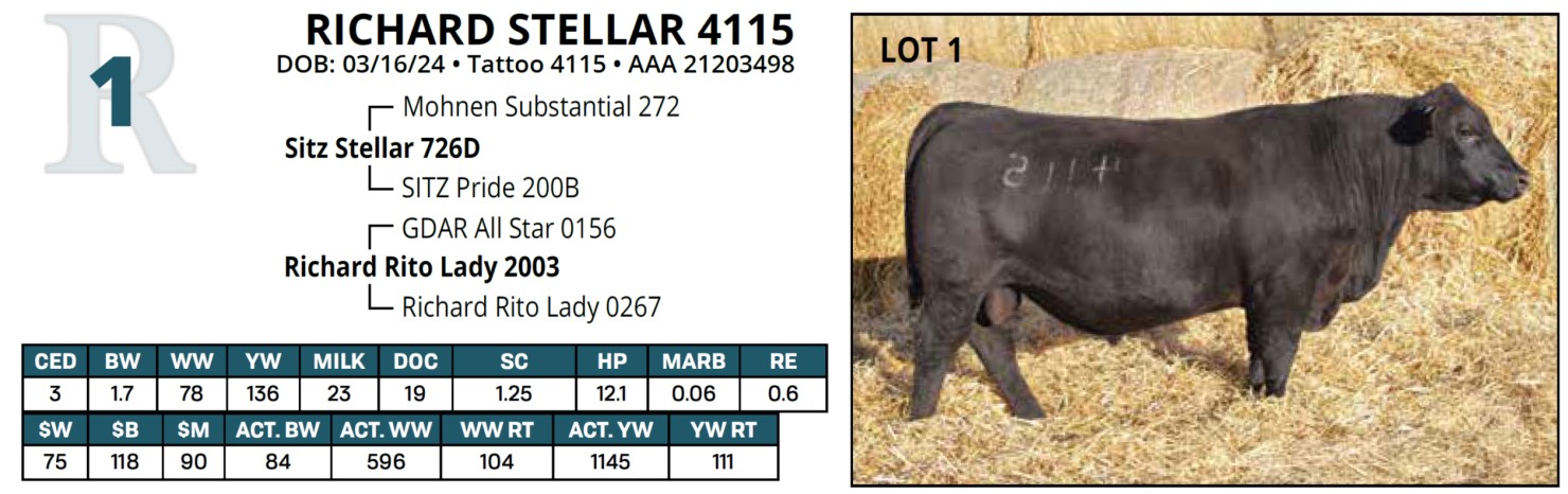 Lot 1: Richard Angus Ranch - Annual Angus Bull Sale | DVAuction