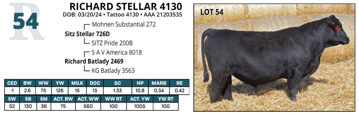 Lot 54: Richard Angus Ranch - Annual Angus Bull Sale | DVAuction