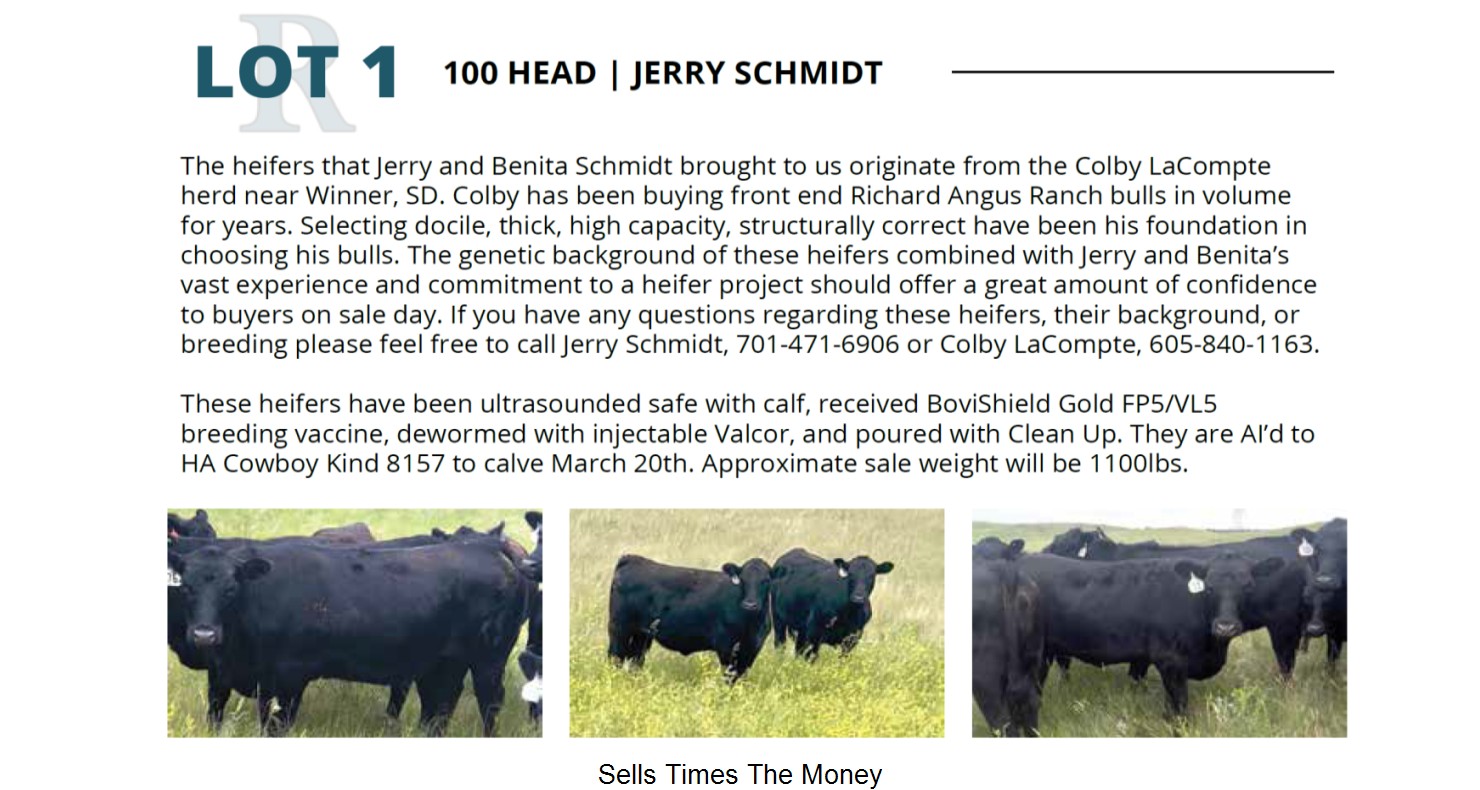 Lot bred_heifers_lot_1: Richard Angus Ranch - Annual Angus Bull Sale ...