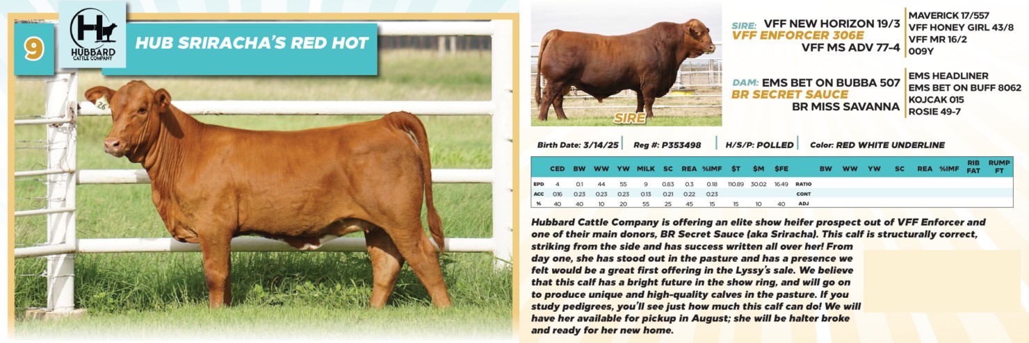 Lot 9 - Open Show Heifer Prospect:HUB Sriracha's Red Hot: Lyssy ...