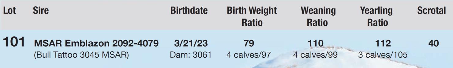 Lot 101: Mike Sitz Angus Ranch LLC - Mike Sitz Angus/Joel Johnston ...
