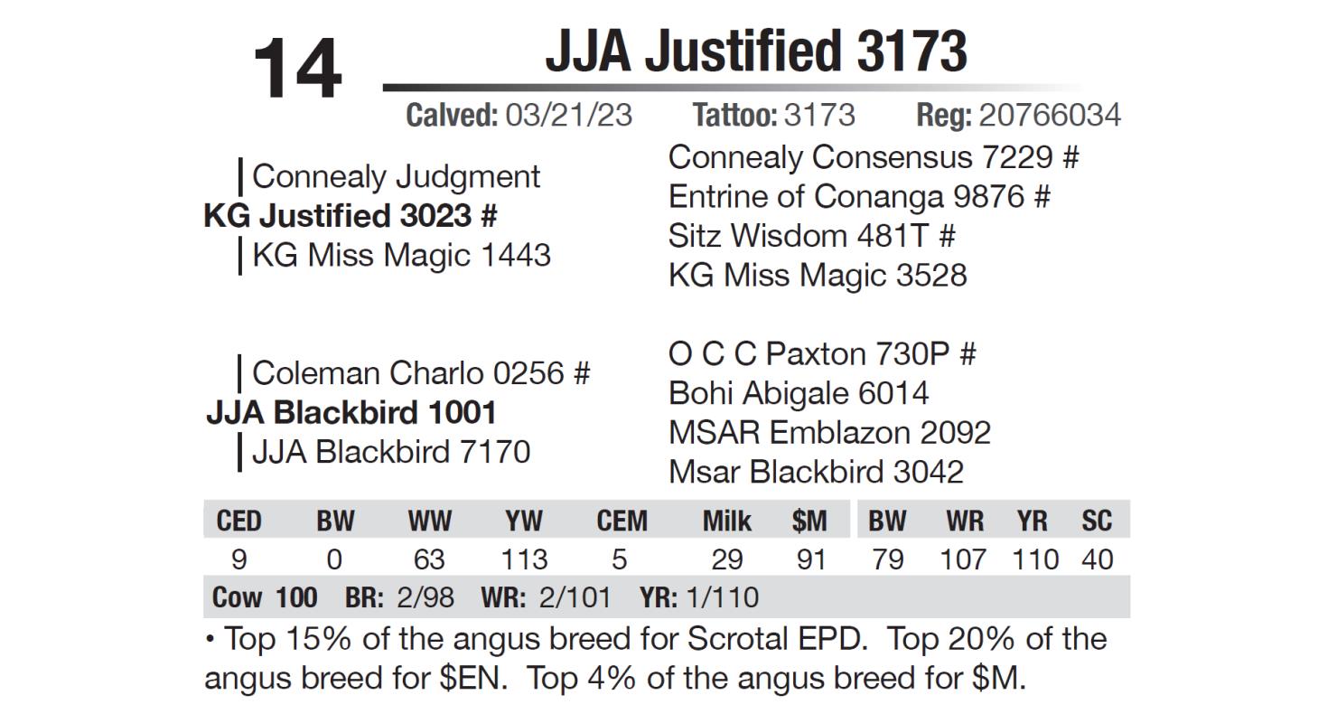 Lot 14: Mike Sitz Angus Ranch LLC - Mike Sitz Angus/Joel Johnston Angus ...