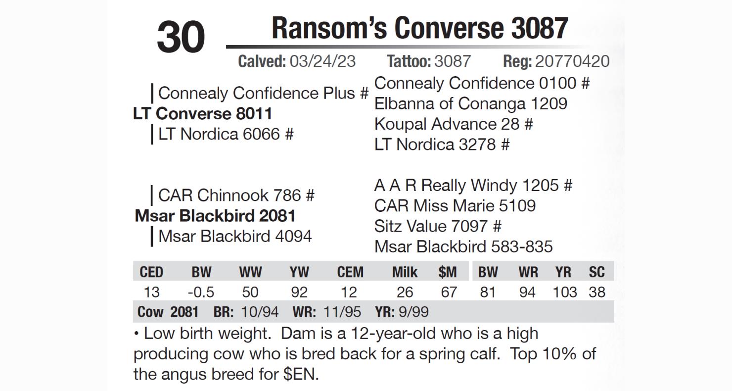 Lot 30: Mike Sitz Angus Ranch LLC - Mike Sitz Angus/Joel Johnston Angus ...