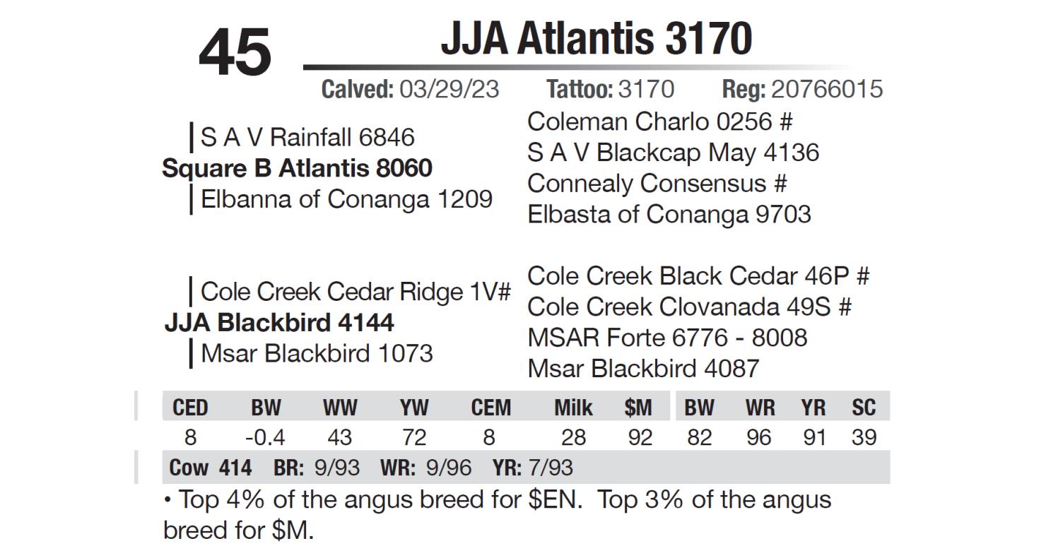 Lot 45: Mike Sitz Angus Ranch LLC - Mike Sitz Angus/Joel Johnston Angus ...