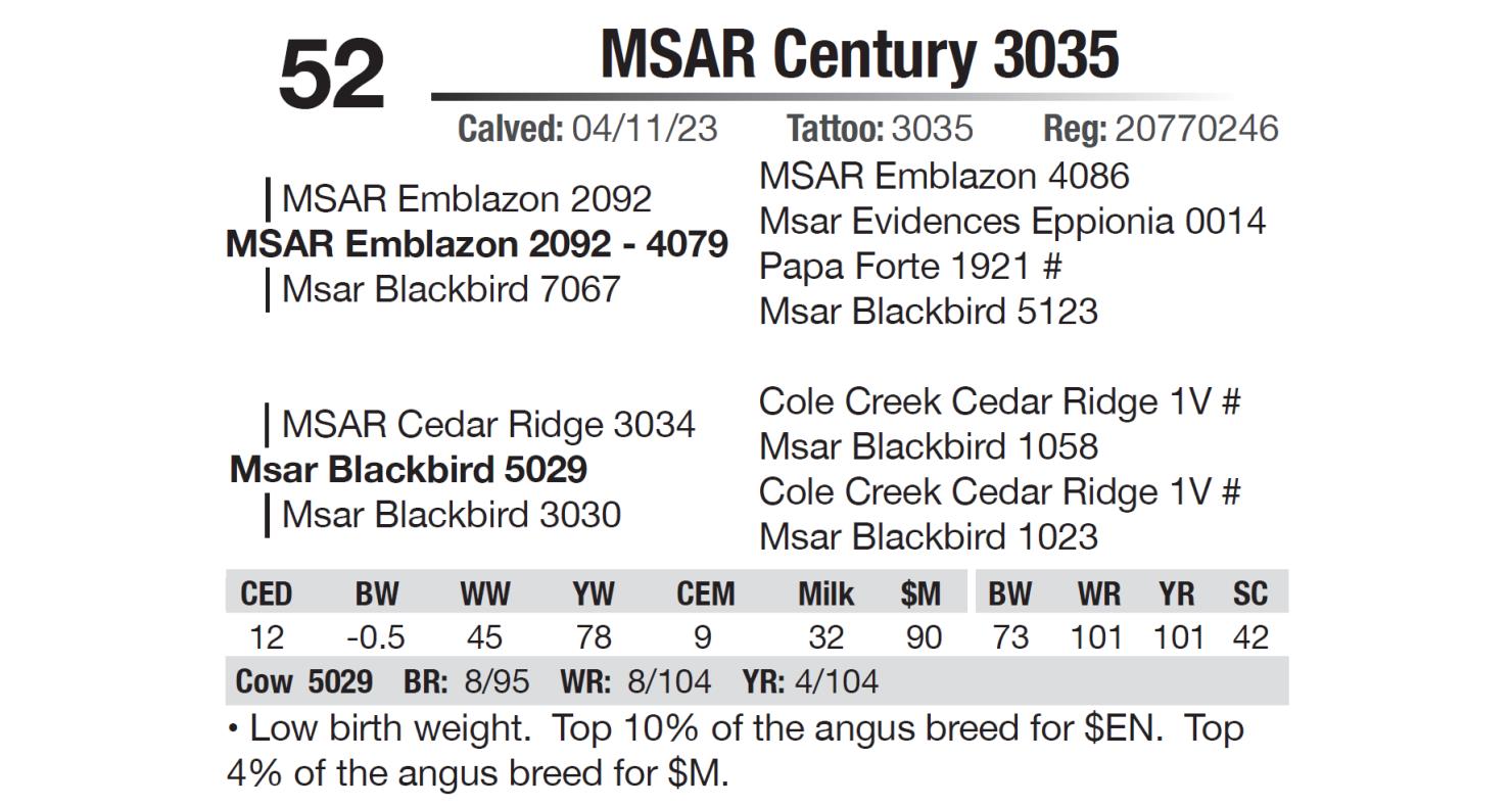 Lot 52: Mike Sitz Angus Ranch LLC - Mike Sitz Angus/Joel Johnston Angus ...
