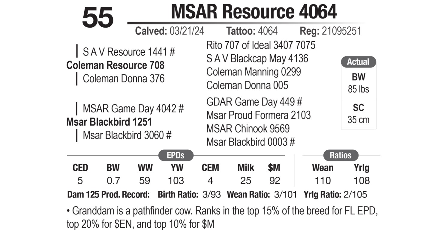 Lot 55: Mike Sitz Angus Ranch LLC - Mike Sitz Angus Ranch/Joel Johnston ...