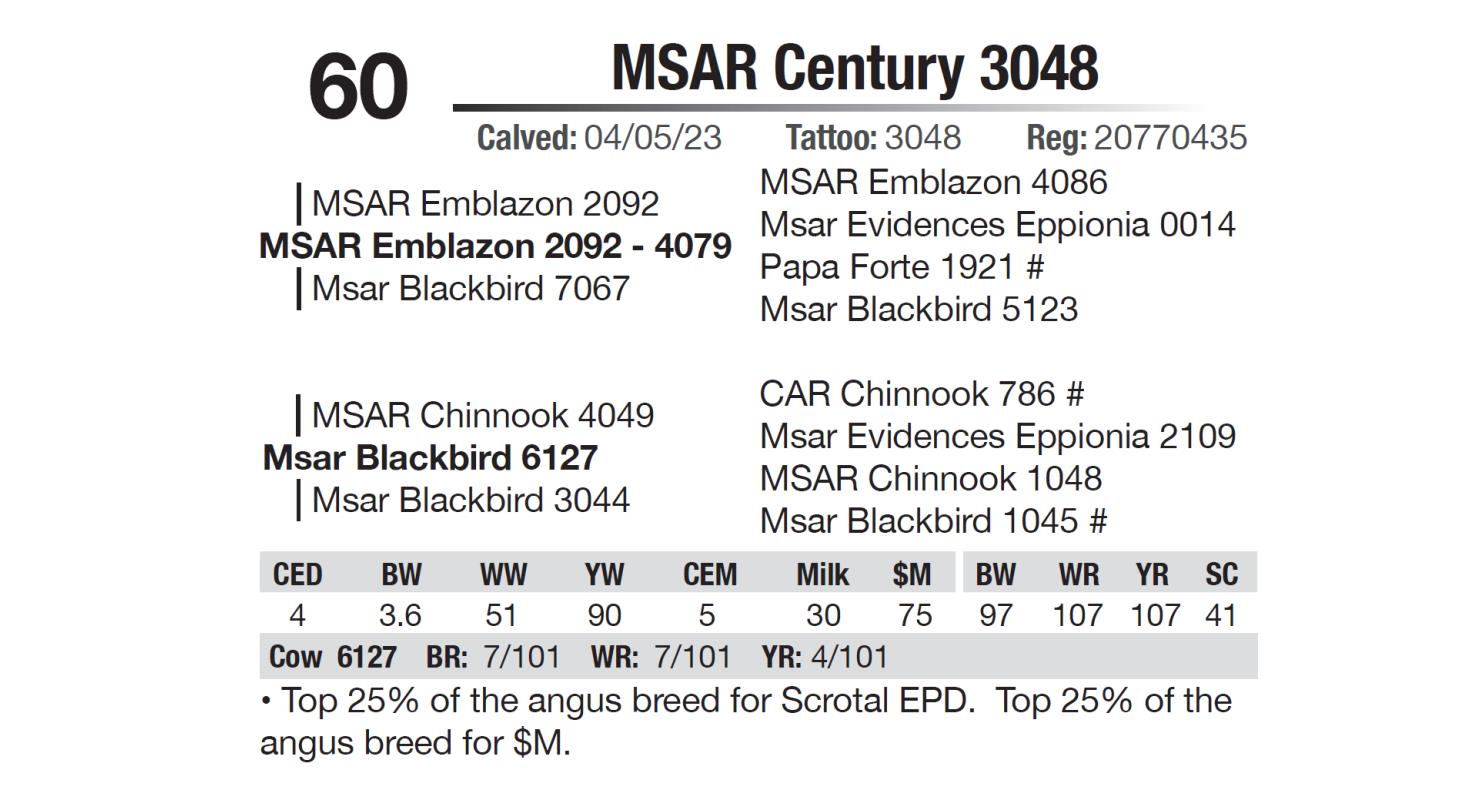Lot 60: Mike Sitz Angus Ranch LLC - Mike Sitz Angus/Joel Johnston Angus ...