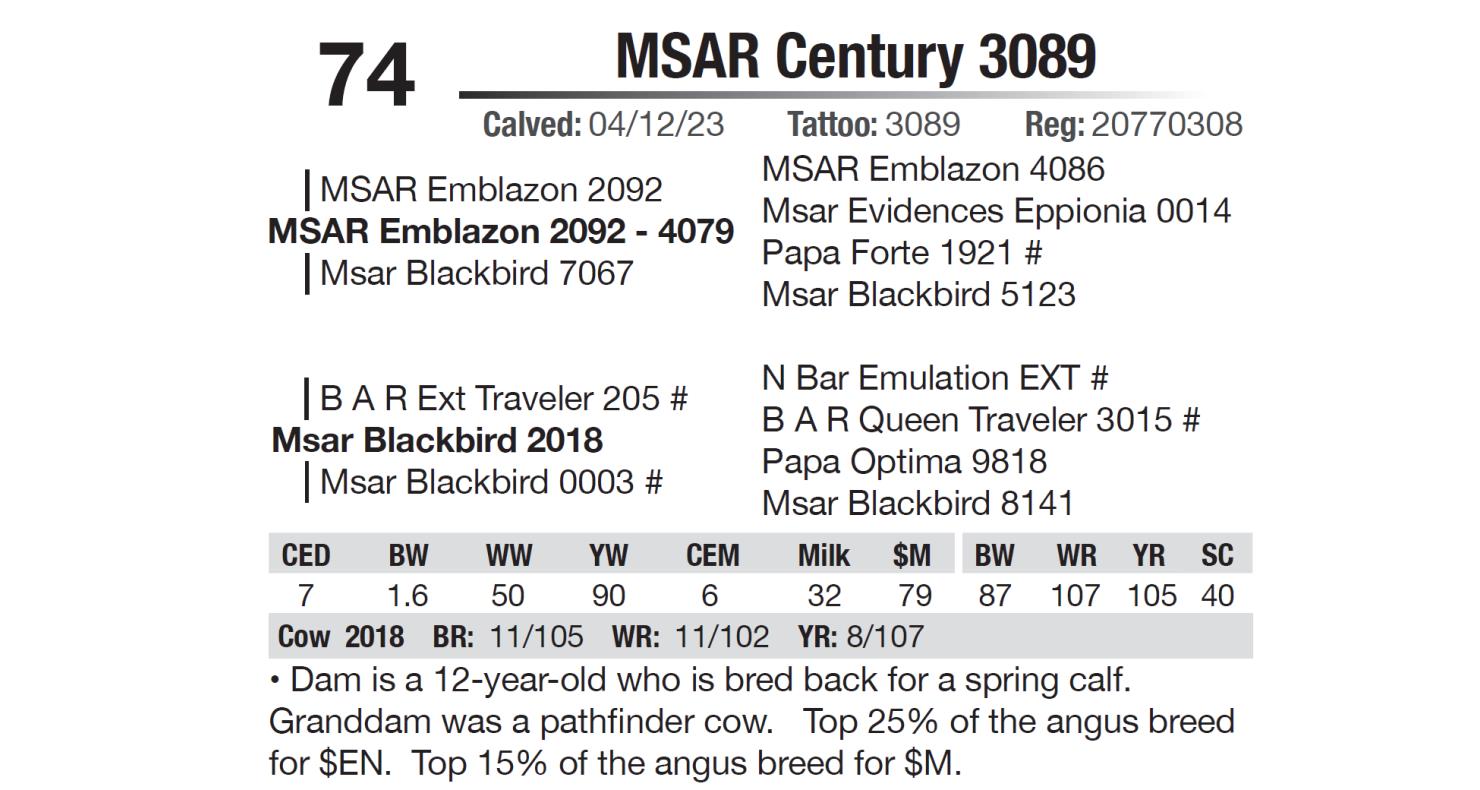 Lot 74: Mike Sitz Angus Ranch LLC - Mike Sitz Angus/Joel Johnston Angus ...