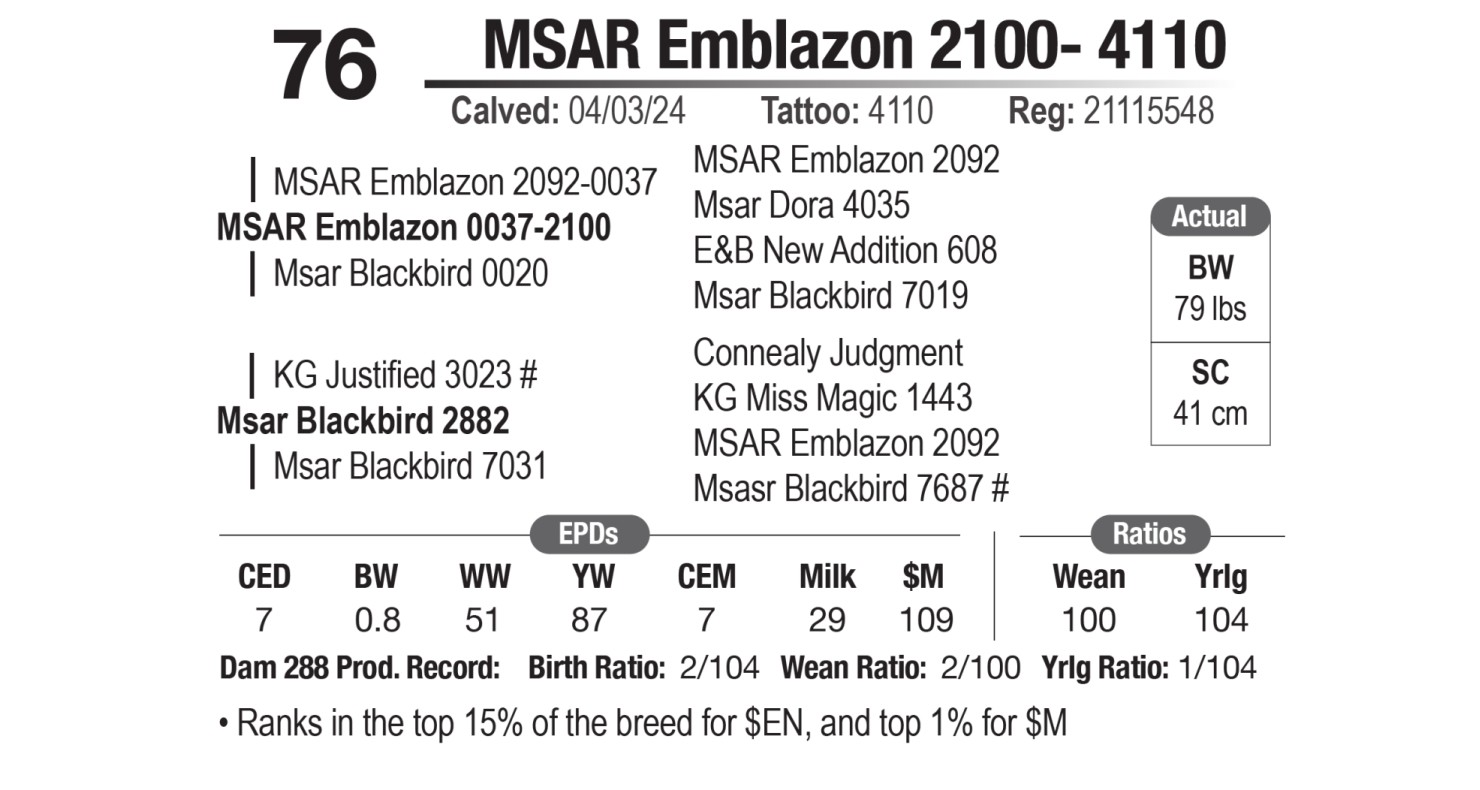 Lot 76: Mike Sitz Angus Ranch LLC - Mike Sitz Angus Ranch/Joel Johnston ...
