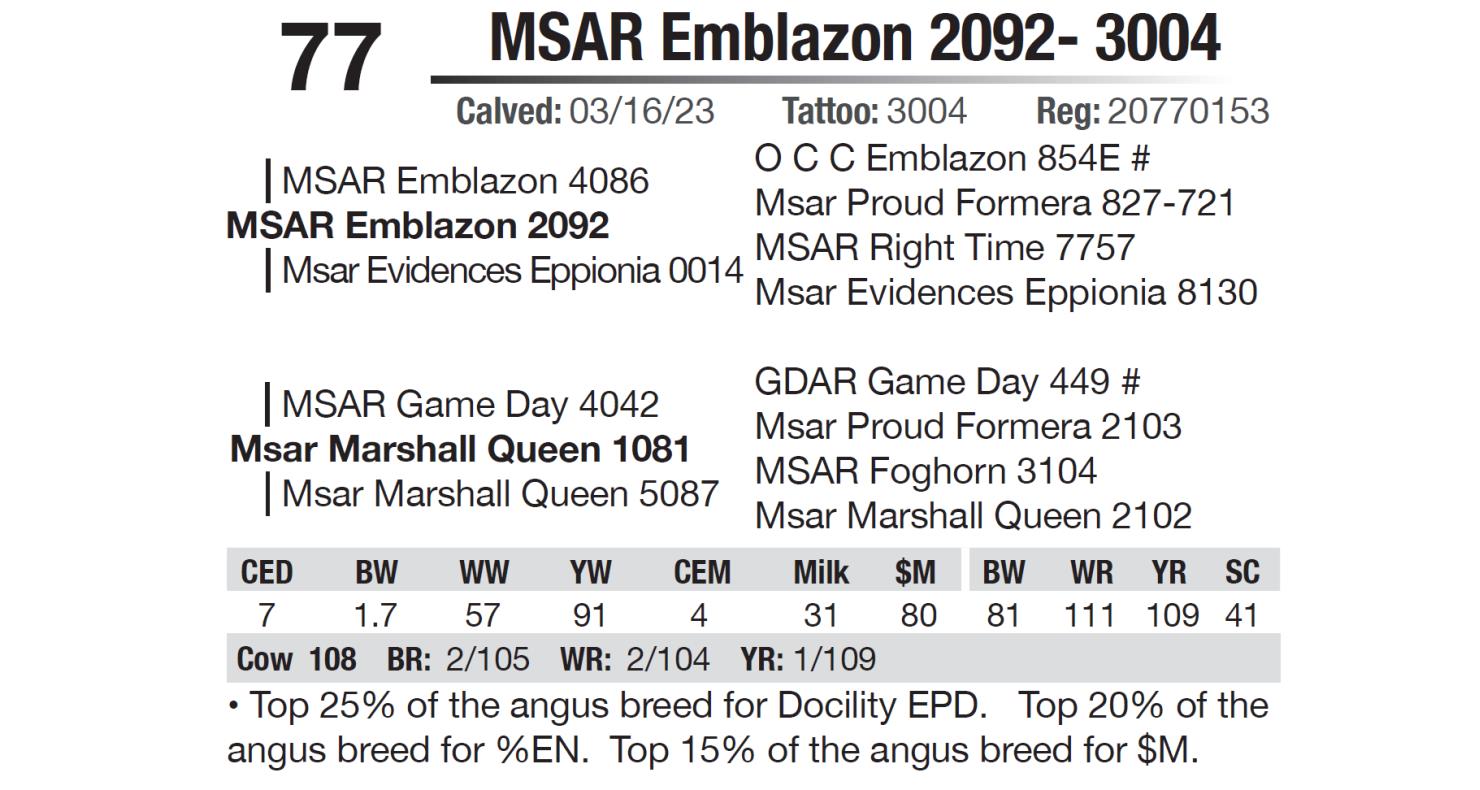 Lot 77: Mike Sitz Angus Ranch LLC - Mike Sitz Angus/Joel Johnston Angus ...