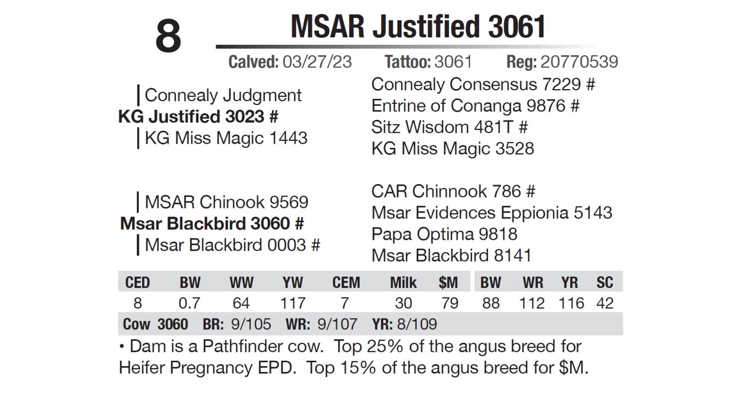Lot 8: Mike Sitz Angus Ranch LLC - Mike Sitz Angus/Joel Johnston Angus ...