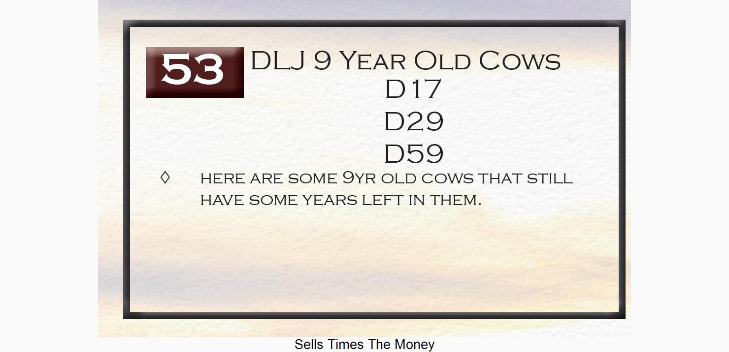 Lot 53: Diamond Lazy J Ranch - Bull Sale | DVAuction